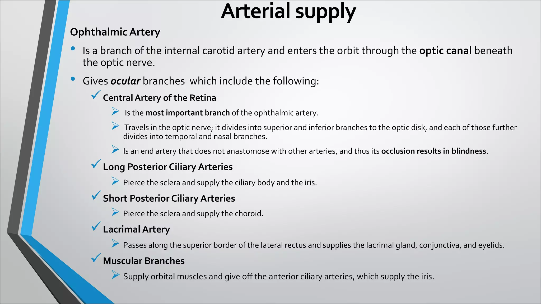 Eye optic nerve and visal pathway.pdf