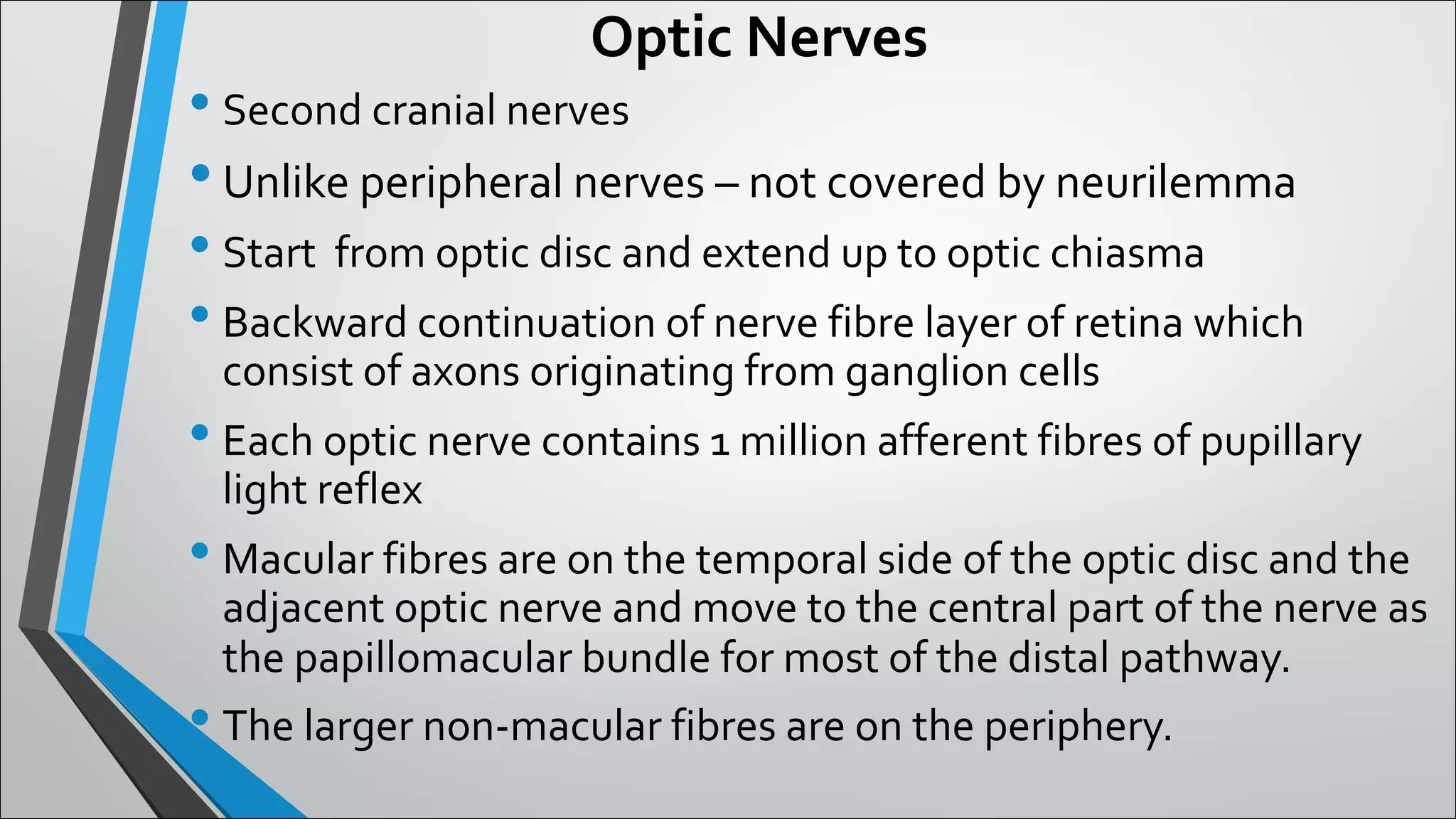 Eye optic nerve and visal pathway.pdf