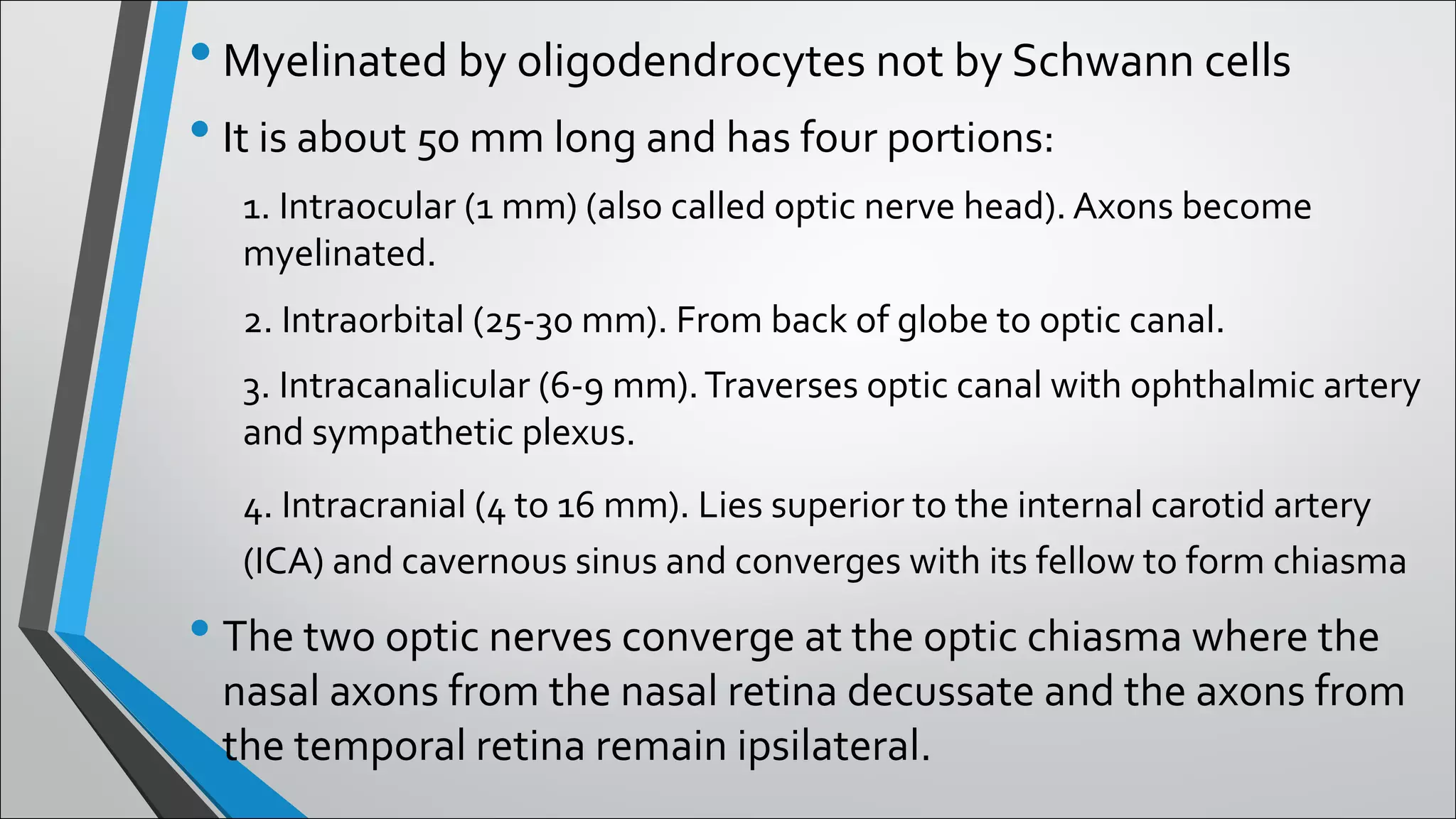 Eye optic nerve and visal pathway.pdf