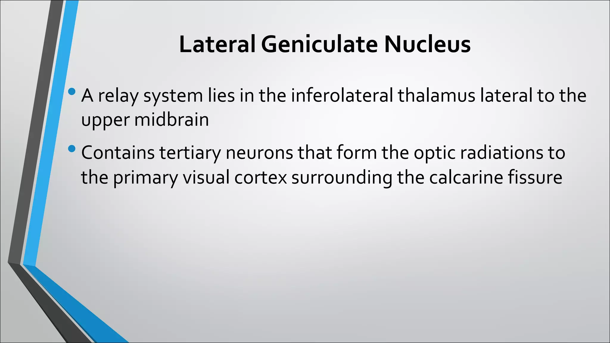 Eye optic nerve and visal pathway.pdf