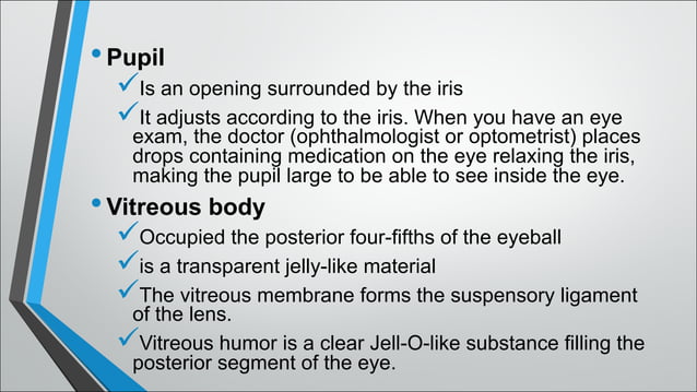 Eye optic nerve and visal pathway.pdf