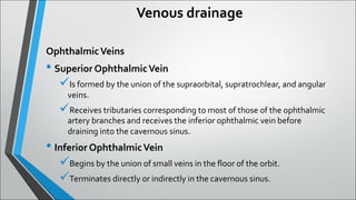 Eye optic nerve and visal pathway.pdf