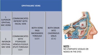 Eye, orbit, lacrimal apparatus | PPT