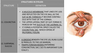 Eye, orbit, lacrimal apparatus | PPT