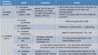Eye, orbit, lacrimal apparatus | PPT