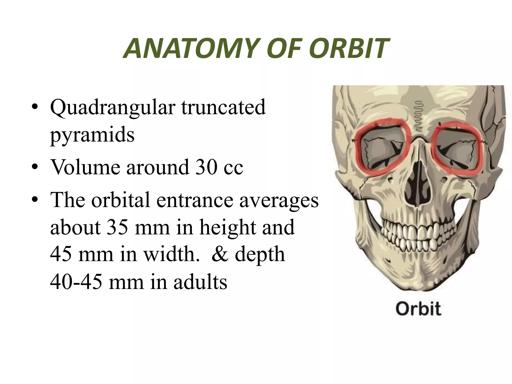 Eye & orbit tumors anatomy, epidemiology, pathology by himani | PPTX