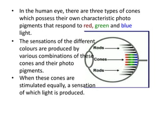 eye (general physiology & Anatomy).pptx