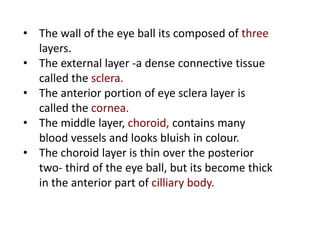 eye (general physiology & Anatomy).pptx