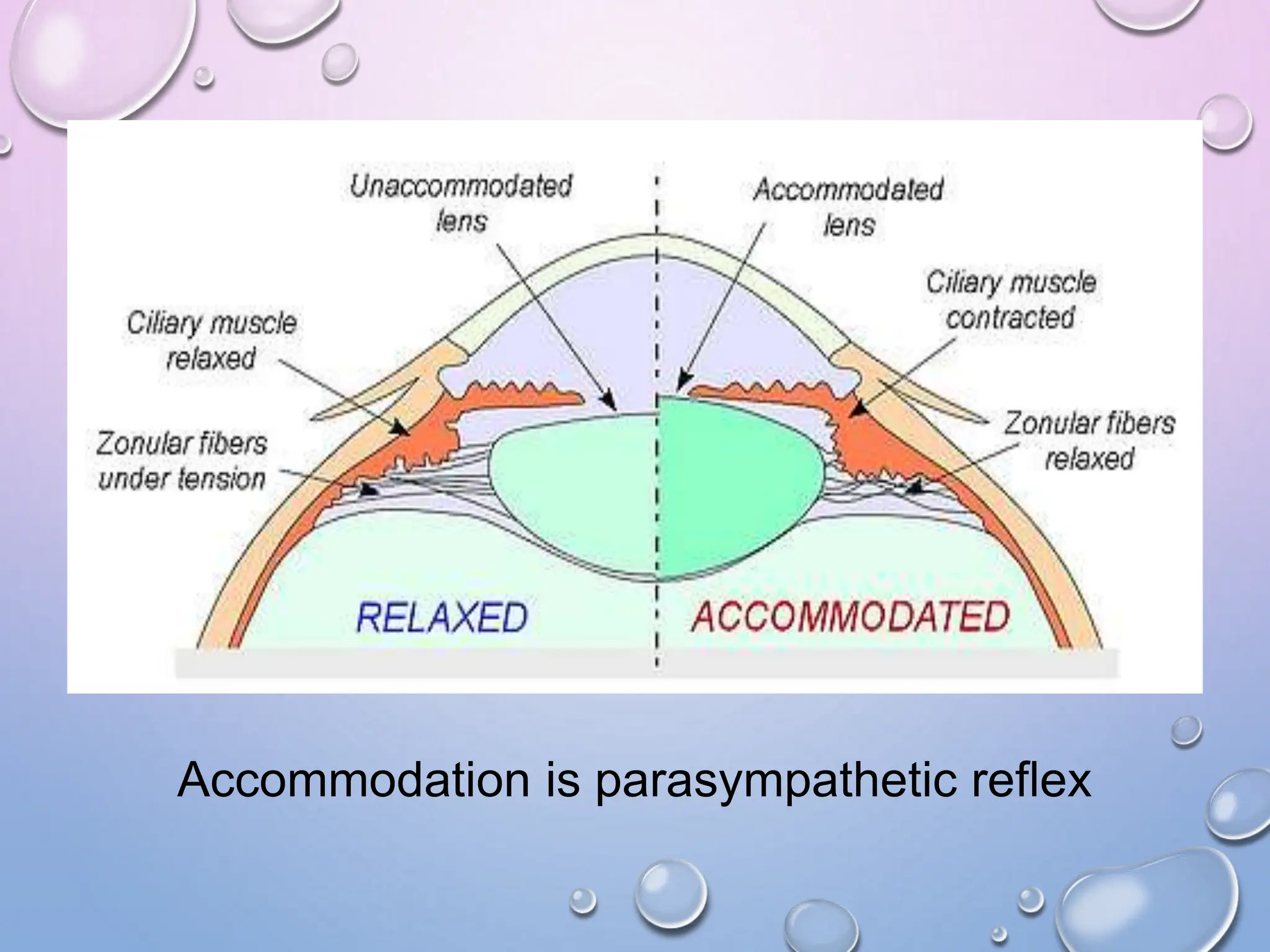 Eye physiology 1 bds.pptx physiology of eye | PPTX