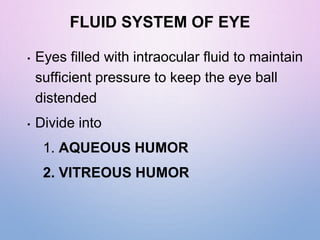 Eye physiology 1 bds.pptx physiology of eye | PPTX