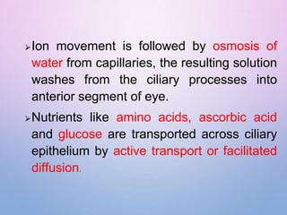 Eye physiology 1 bds.pptx physiology of eye | PPTX