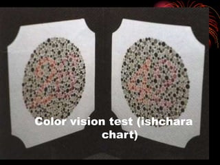 Eye physiology by dr abdul basir safi | PPT