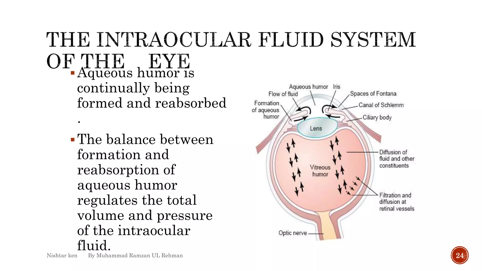 Eye physiology from guyton and halls physiology Part 1 | PPTX | Eye and ...