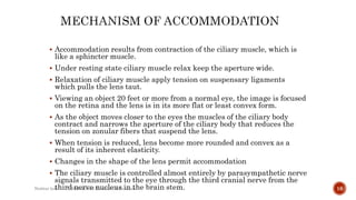 Eye physiology from guyton and halls physiology Part 1 | PPTX