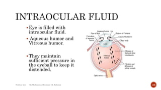Eye physiology from guyton and halls physiology Part 1 | PPTX