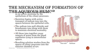 Eye physiology from guyton and halls physiology Part 1 | PPTX