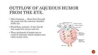 Eye physiology from guyton and halls physiology Part 1 | PPTX
