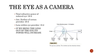 Eye physiology from guyton and halls physiology Part 1 | PPTX