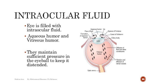Eye physiology from guyton and halls physiology Part 1