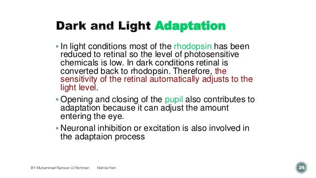 Eye physiology from guyton and halls physiology Part 2