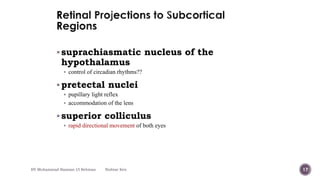Eye physiology from guyton and halls physiology Part 3 | PPTX