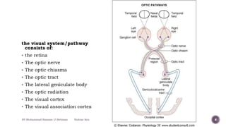 Eye physiology from guyton and halls physiology Part 3 | PPTX