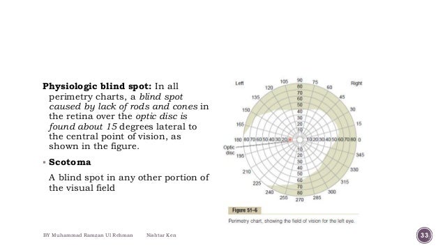Eye physiology from guyton and halls physiology Part 3