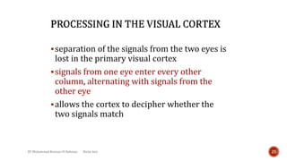 Eye physiology from guyton and halls physiology Part 5 | PPTX