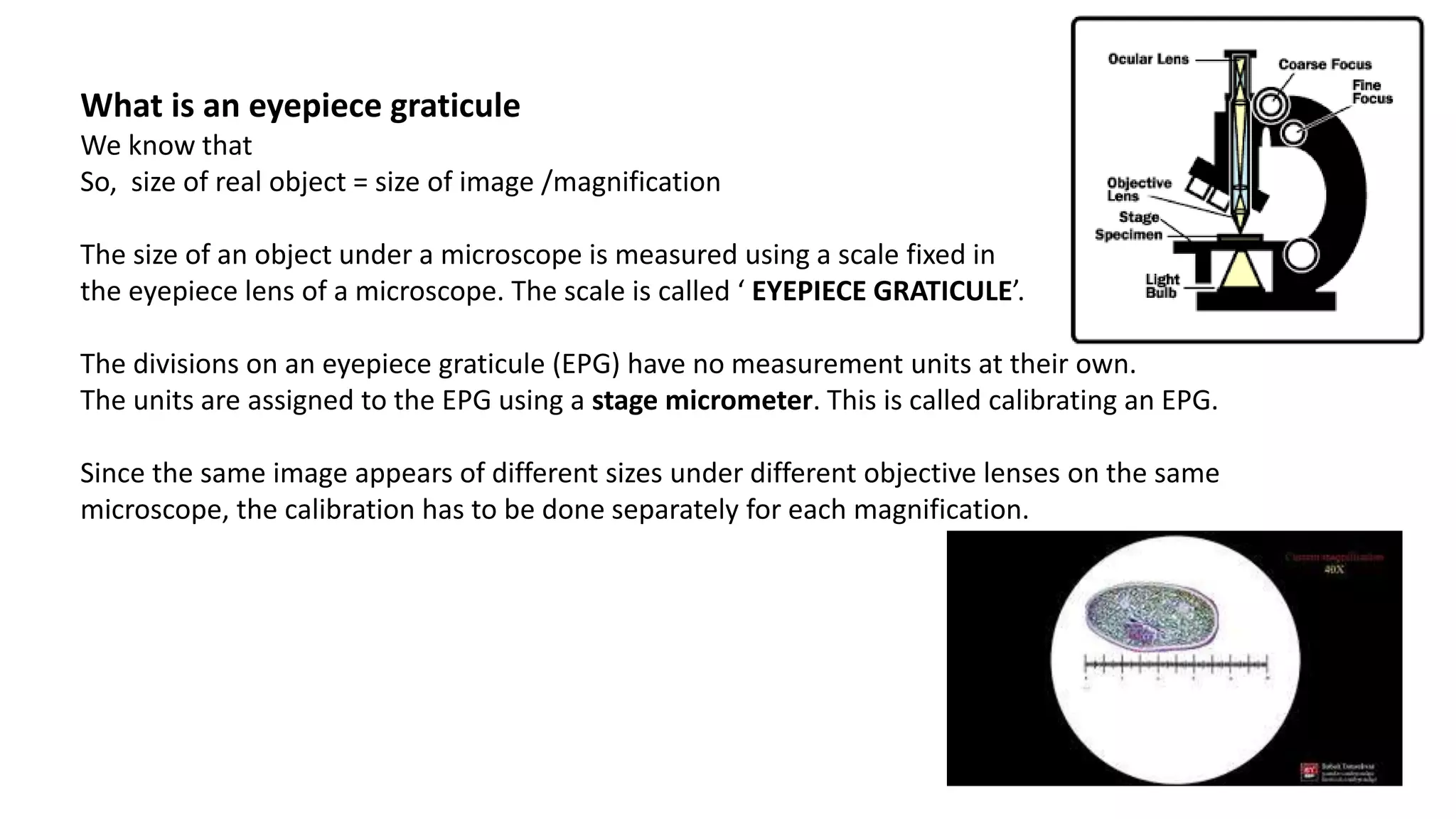Eye piece graticule calibration | PPTX