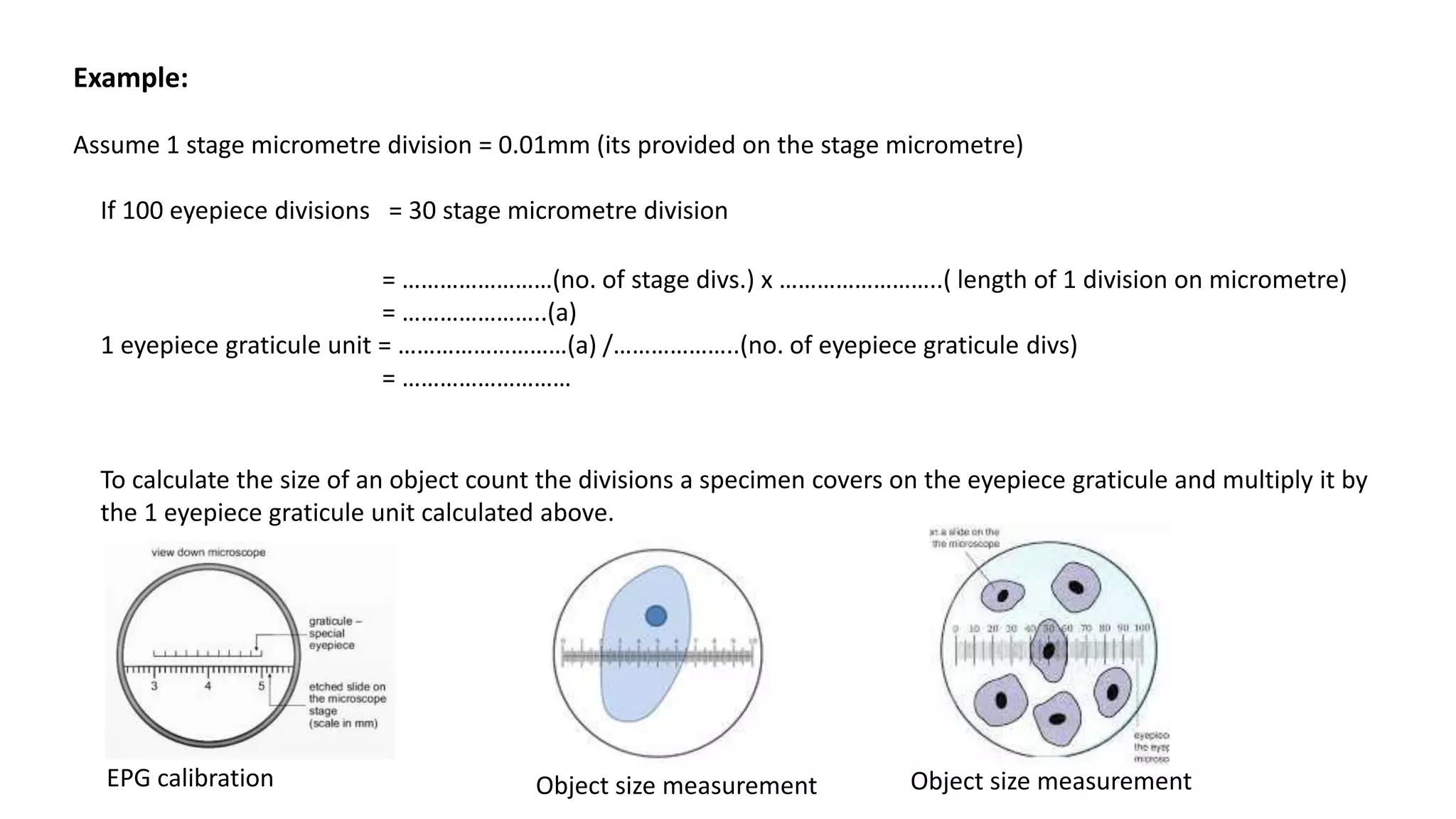 Eye piece graticule calibration | PPTX