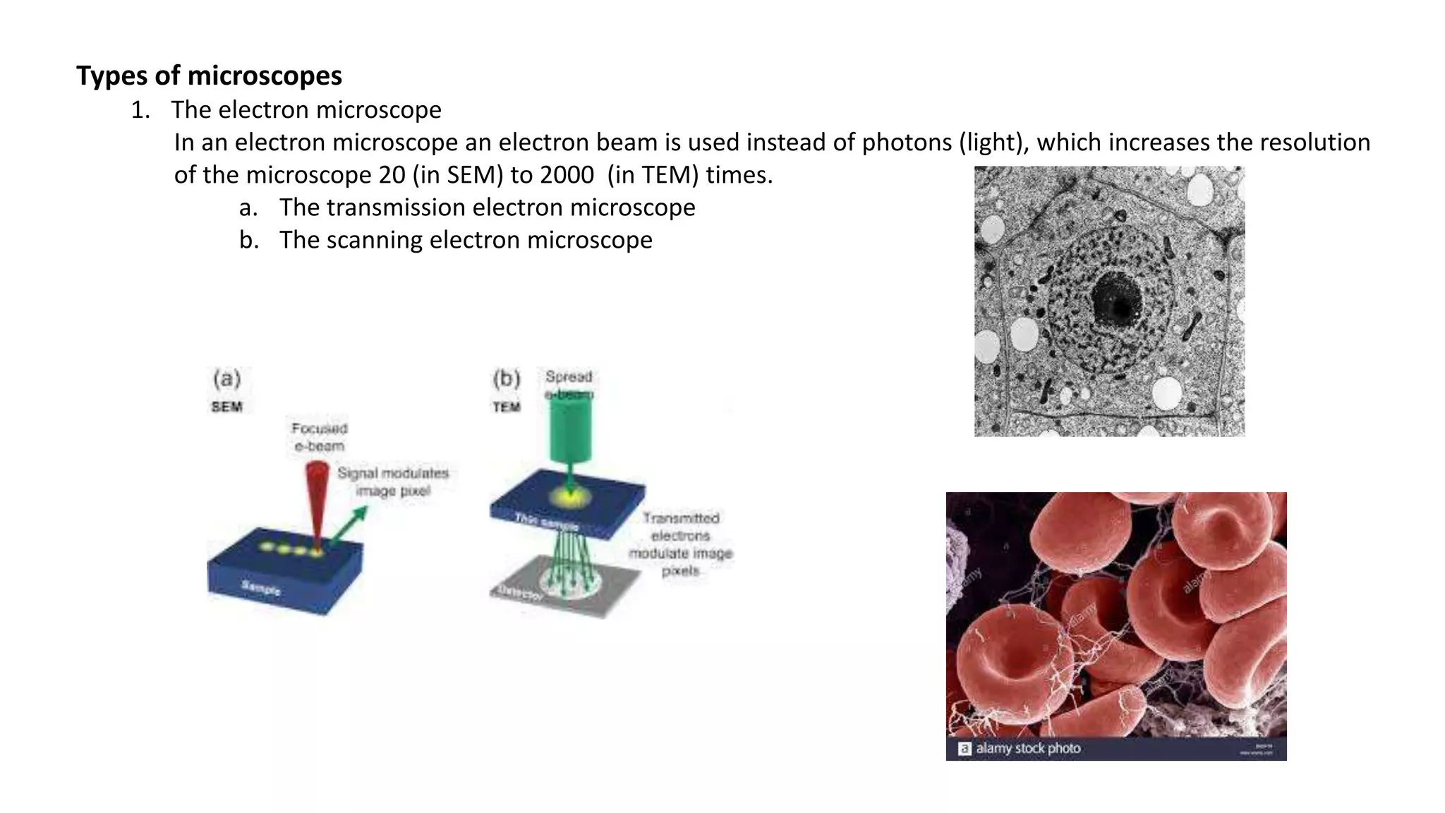 Eye piece graticule calibration | PPTX