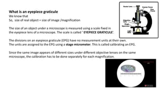 Eye piece graticule calibration | PPTX