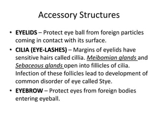 eye ppt.pptx