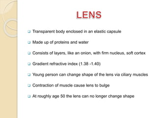Eye presentation1 | PPT
