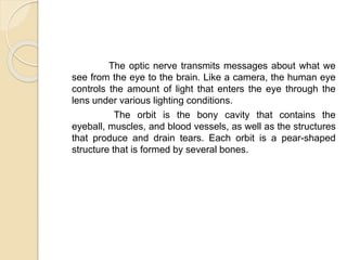 Eye presentation1 | PPTX | Eye and Vision Conditions | Diseases and ...