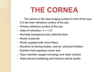 Eye presentation1 | PPT