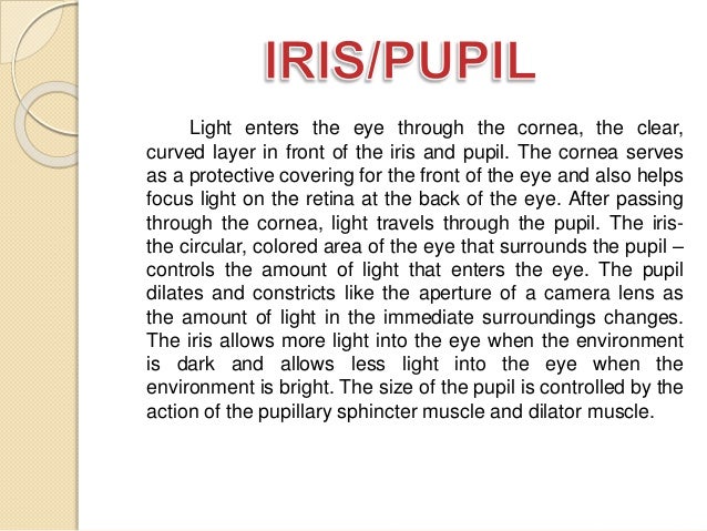 Ppt There Is More To Perception Than Meets The Eye Powerpoint
