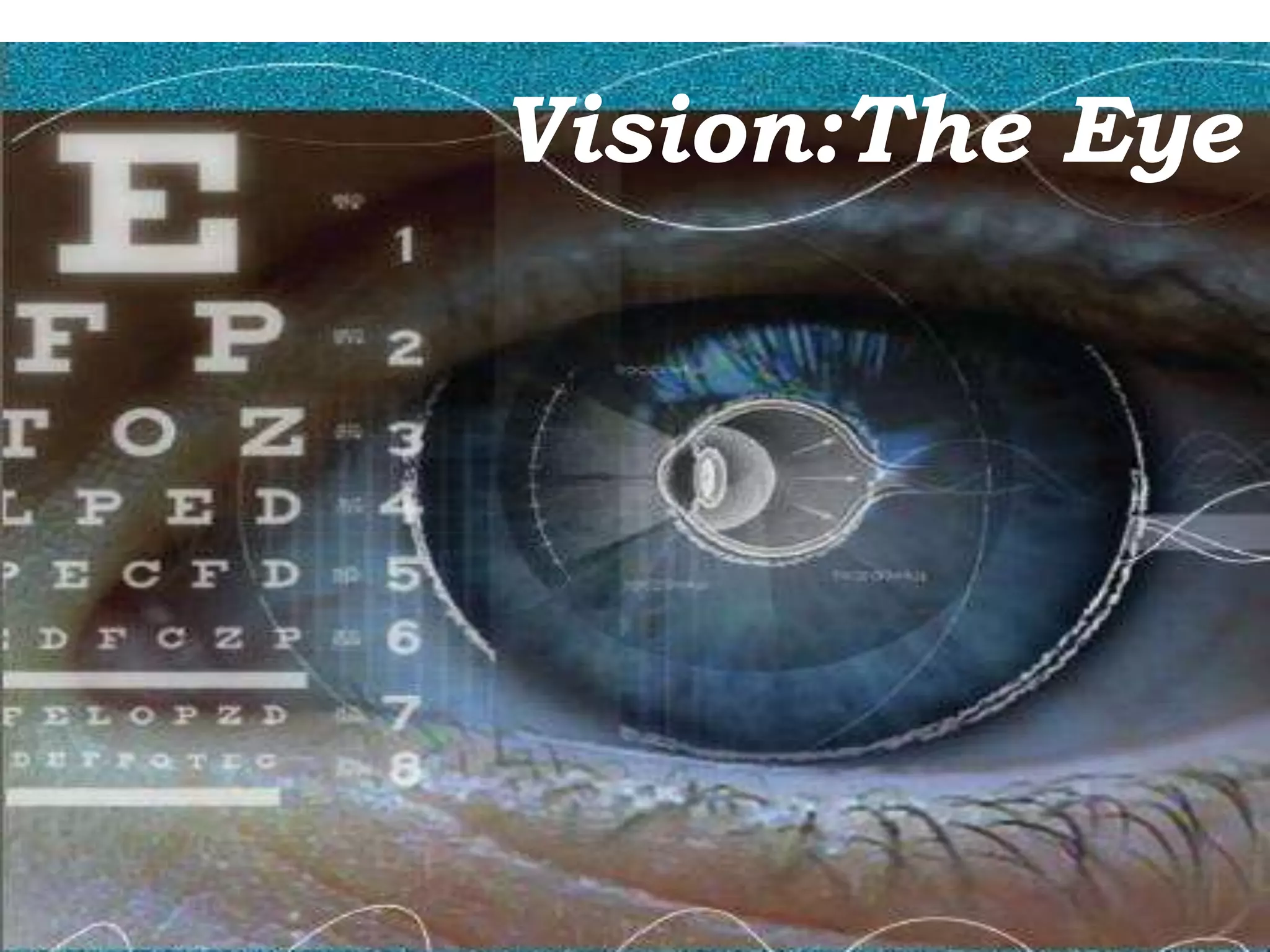 EYE PRESENTATION Dr Sheeba.ppt