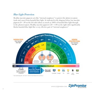 EyePromise Overview Brochure | PDF