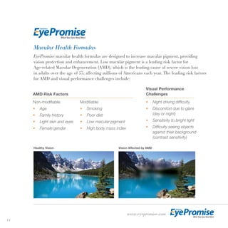 EyePromise Overview Brochure | PDF