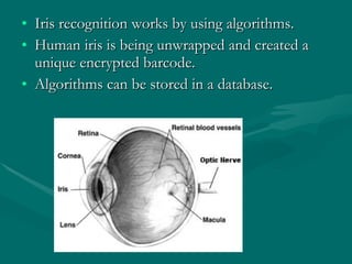 Eye Recognition | PPT