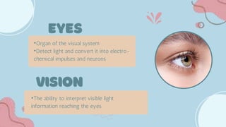 EYE ASSESSMENT FOR NURSING STUDENTS.pptx