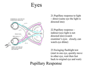 EYES-.PPT(Medicose Nursing Academy) Batch 4th | PPT