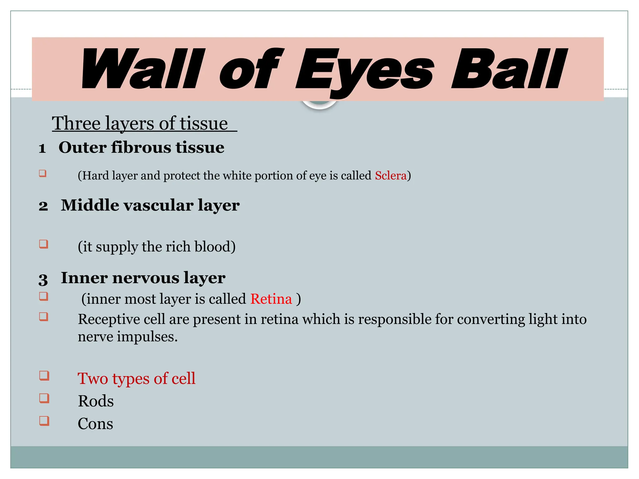 EYES Construction of Eyes Working of Eyes | PPTX