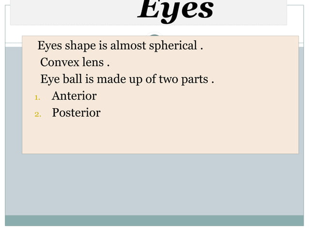 EYES Construction of Eyes Working of Eyes | PPT