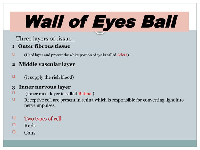 EYES Construction of Eyes Working of Eyes | PPT