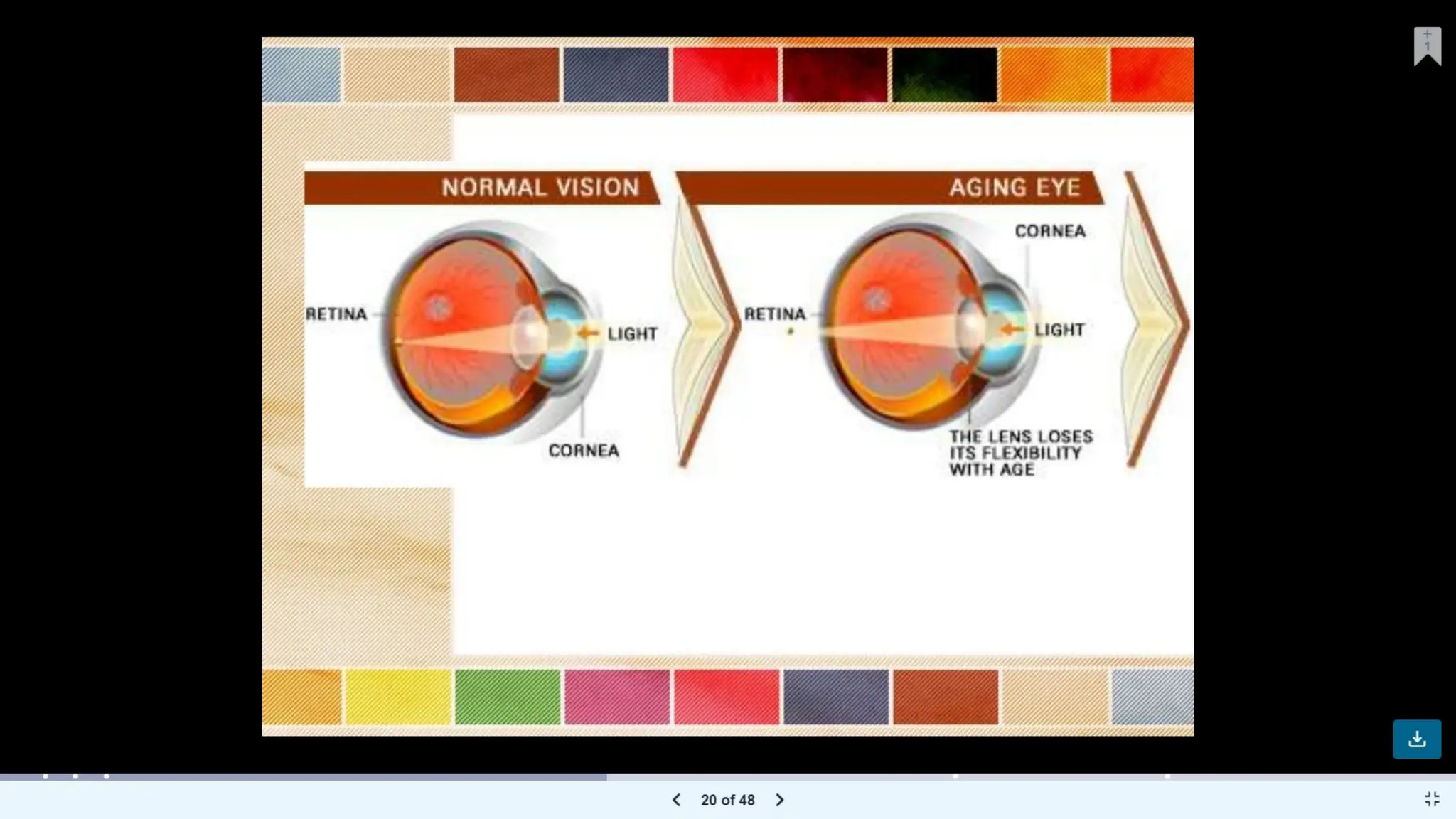 Eyes-and-Defects-Optical-Instruments.pptx
