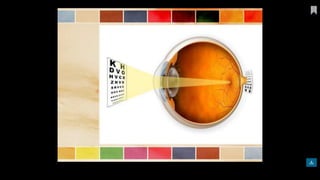 Eyes-and-Defects-Optical-Instruments.pptx