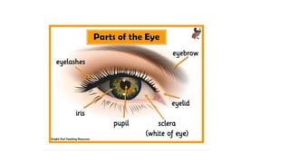 Eyes-and-Defects-Optical-Instruments.pptx