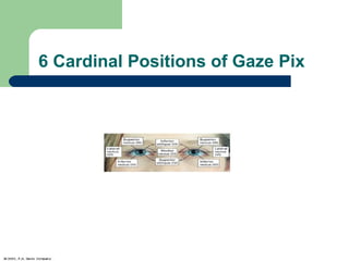 Eyes.Ears.330 | Ear, Nose and Throat Conditions | Diseases and Conditions